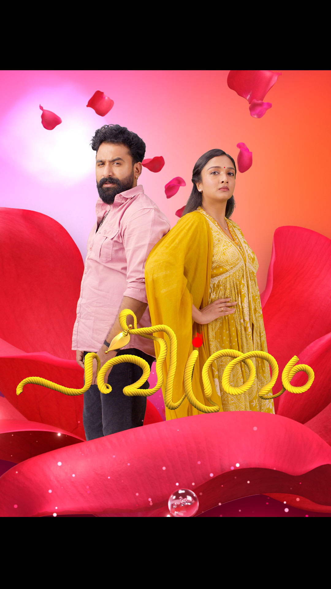 Pavithram Watch Full Tv show Online, Streaming with Subtitles | Flixjini